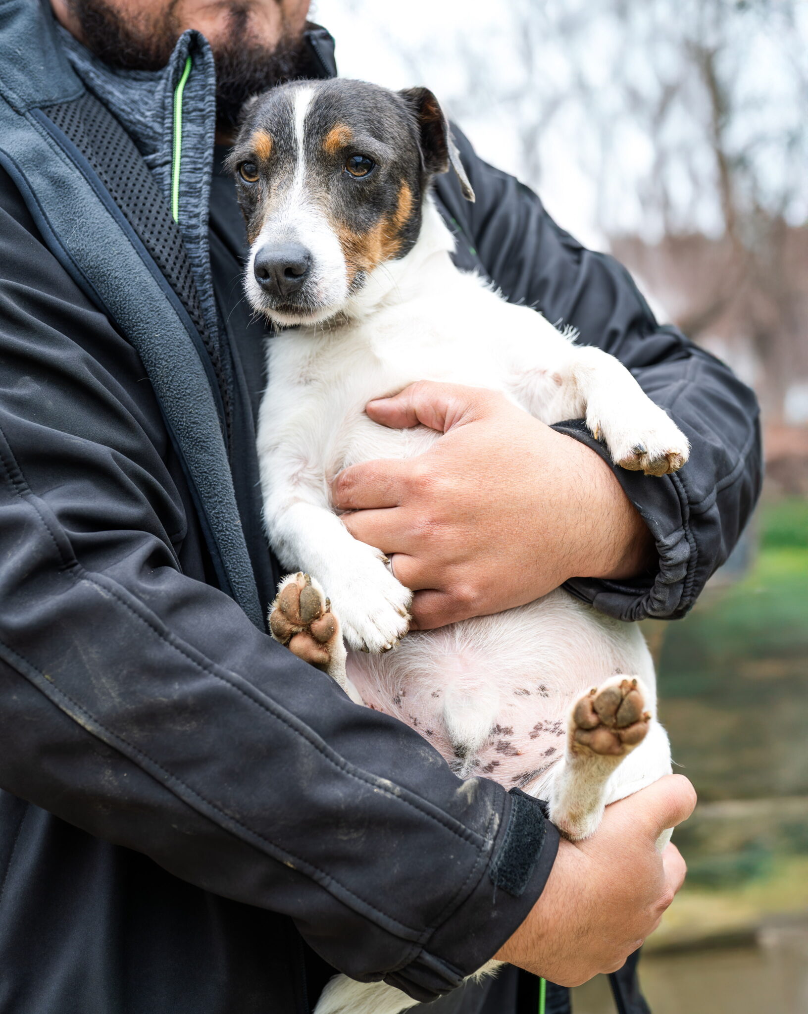 Accueil - Animaux Secours - Le Refuge de l'Espoir - Arthaz 74